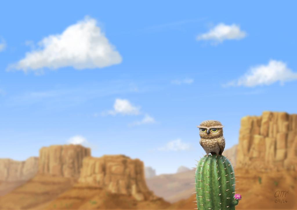 Cactus by Andrew McIntosh | Scrolller