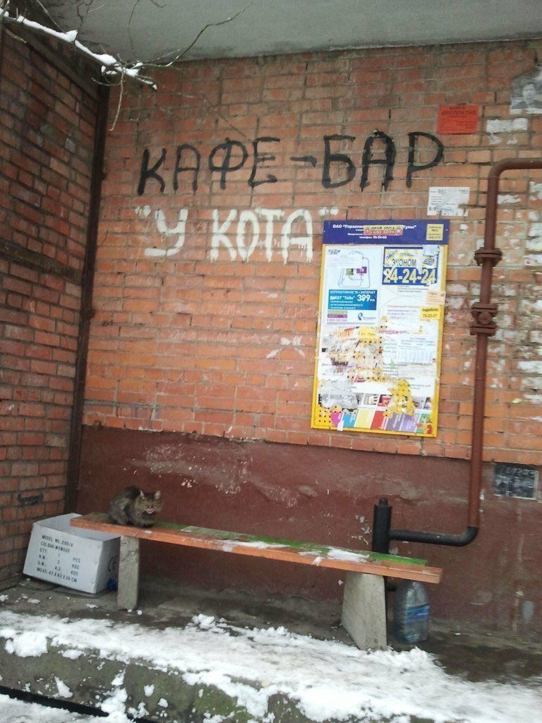 Cafe-bar "At cat's" | Scrolller