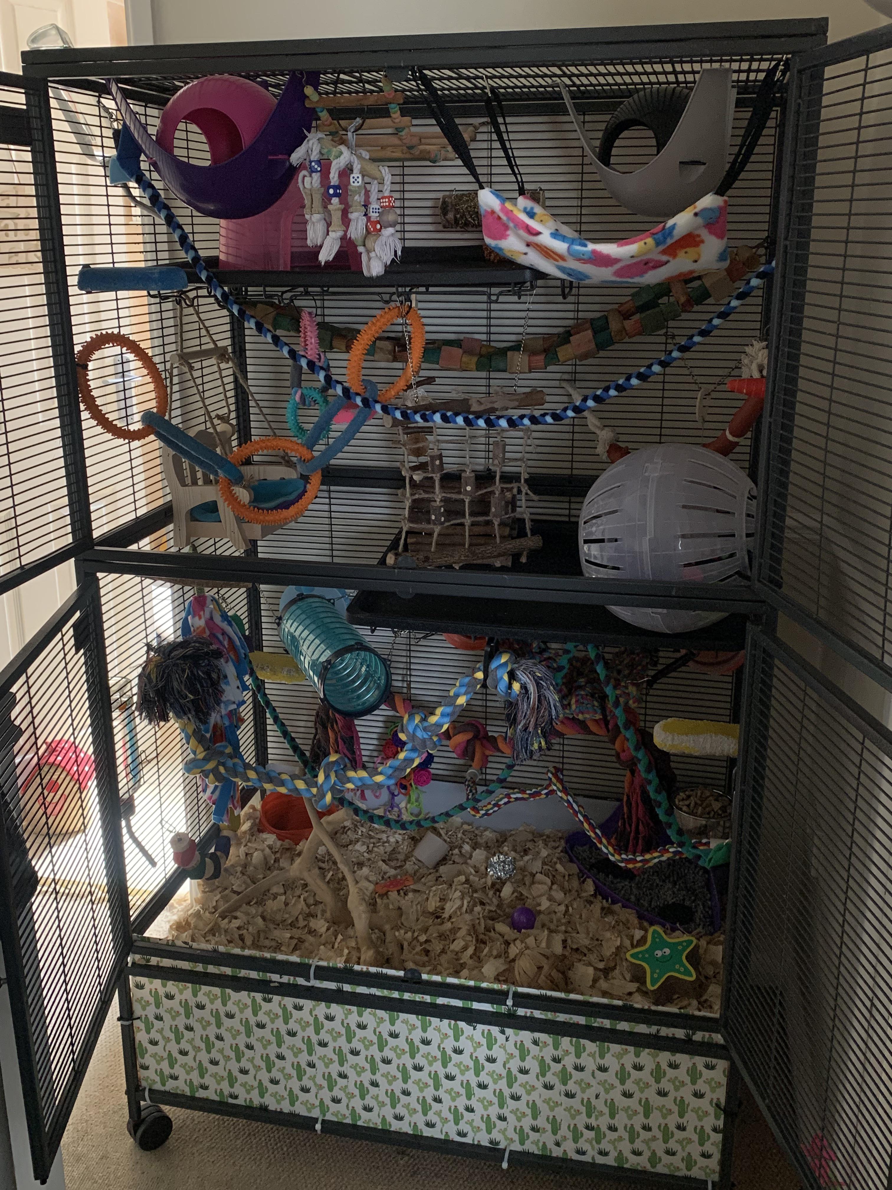cage upgrade is now done after a week of setting up... now en route for two new babies to add ...