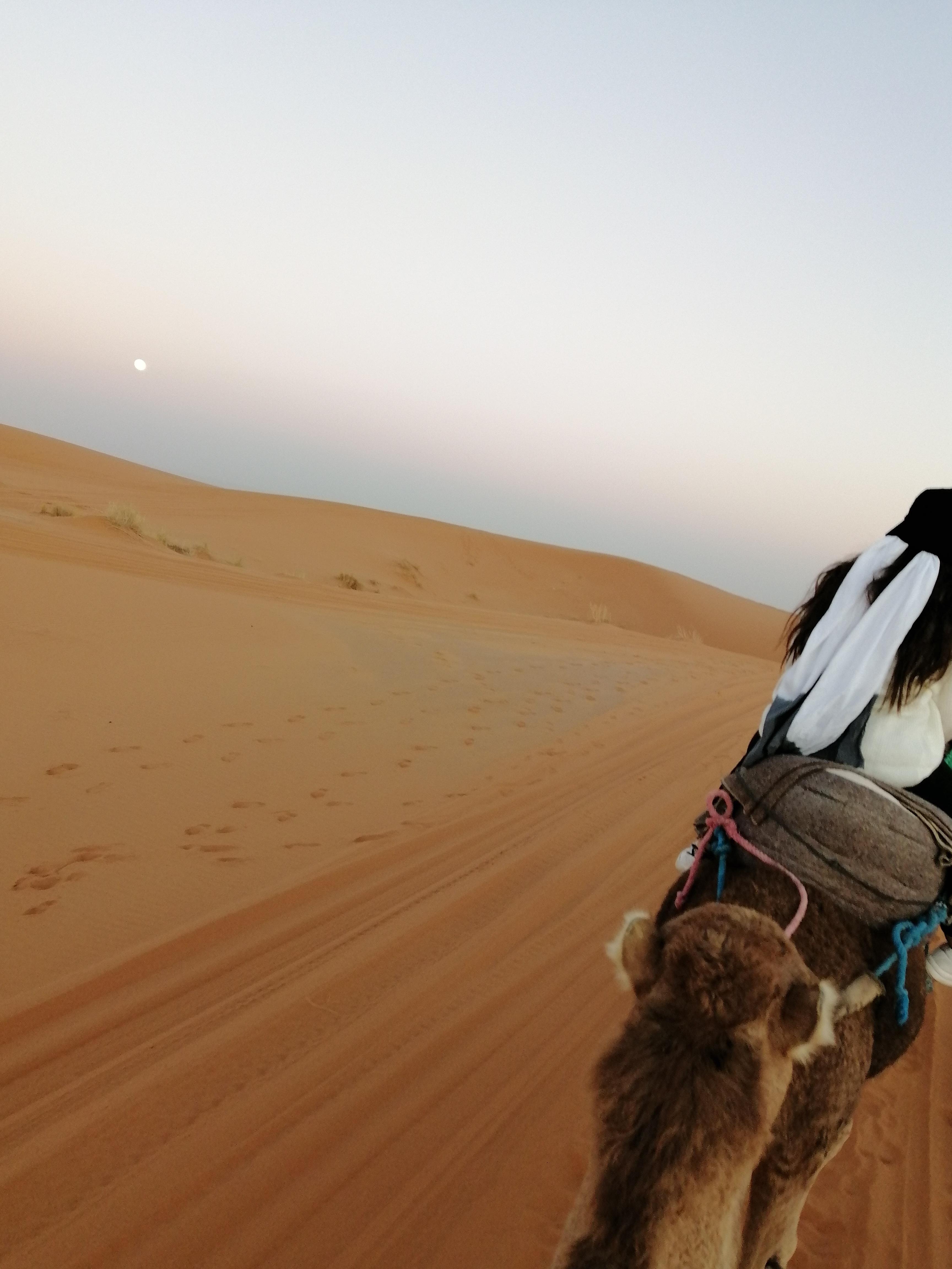 Camel ride, full moon, sunset, merzouga desert= therapy | Scrolller