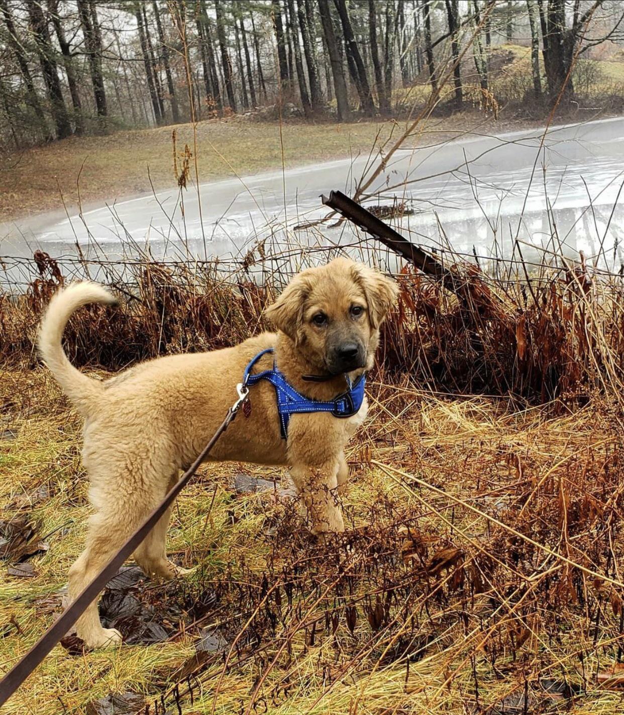 Camera ready | Scrolller