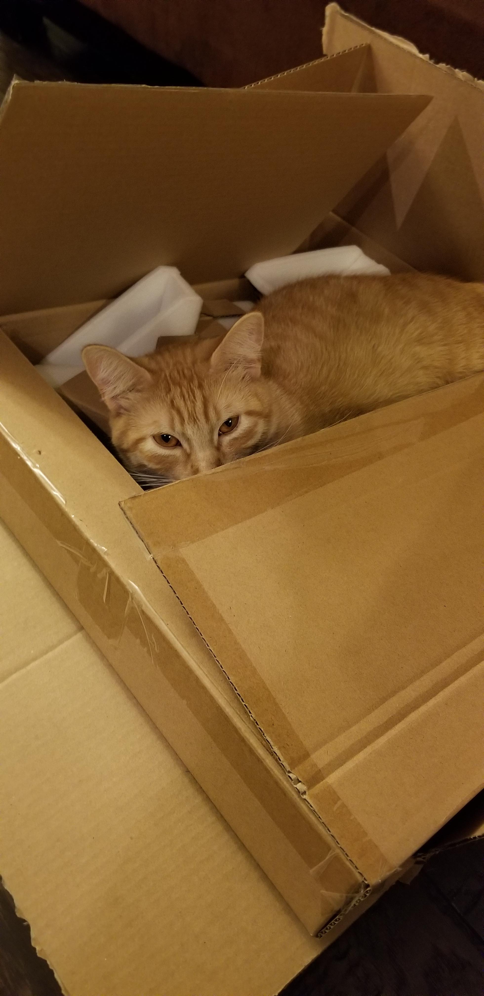 Camo box | Scrolller