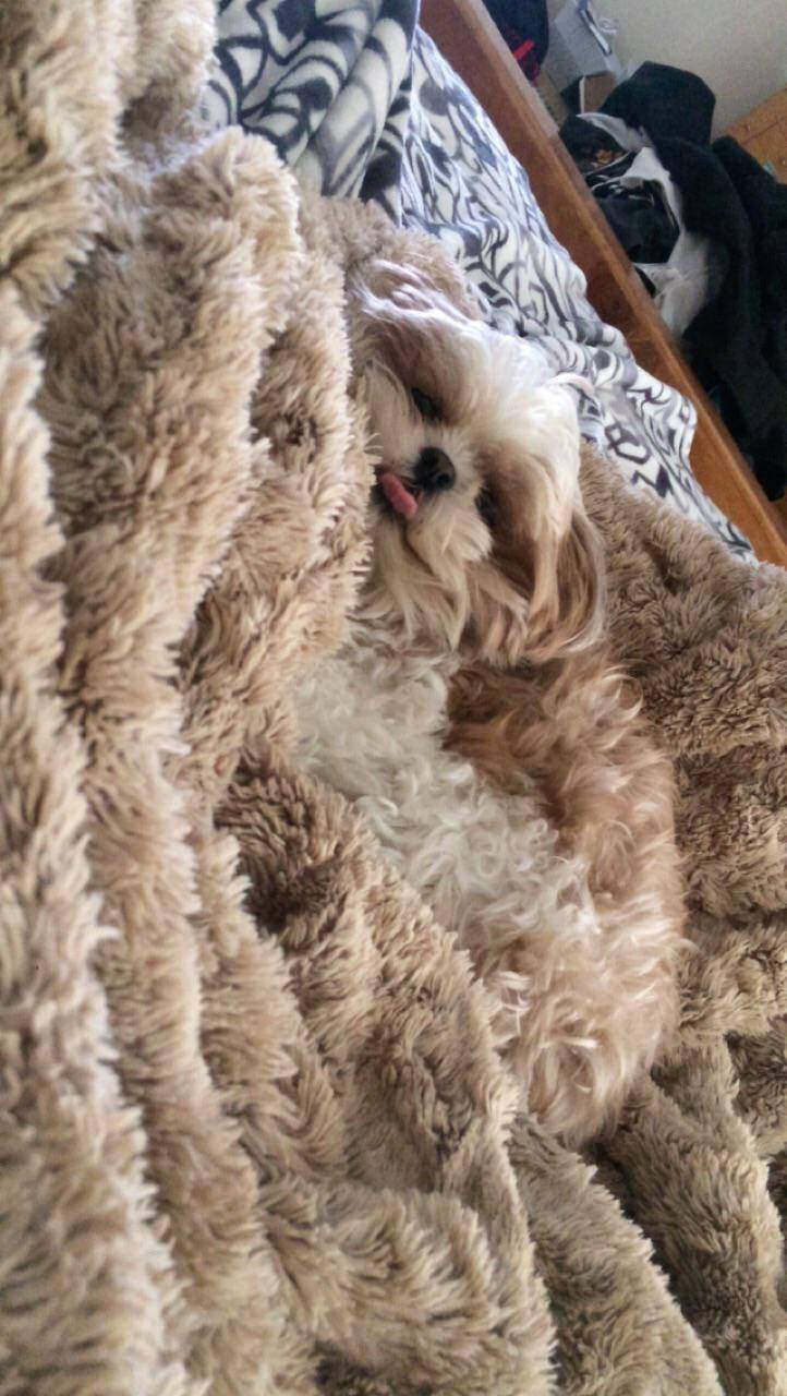 Camouflage! | Scrolller