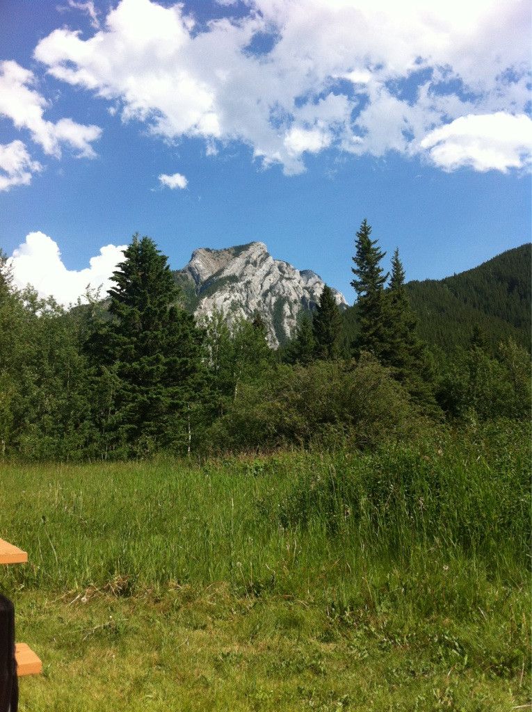 Camping last summer. | Scrolller