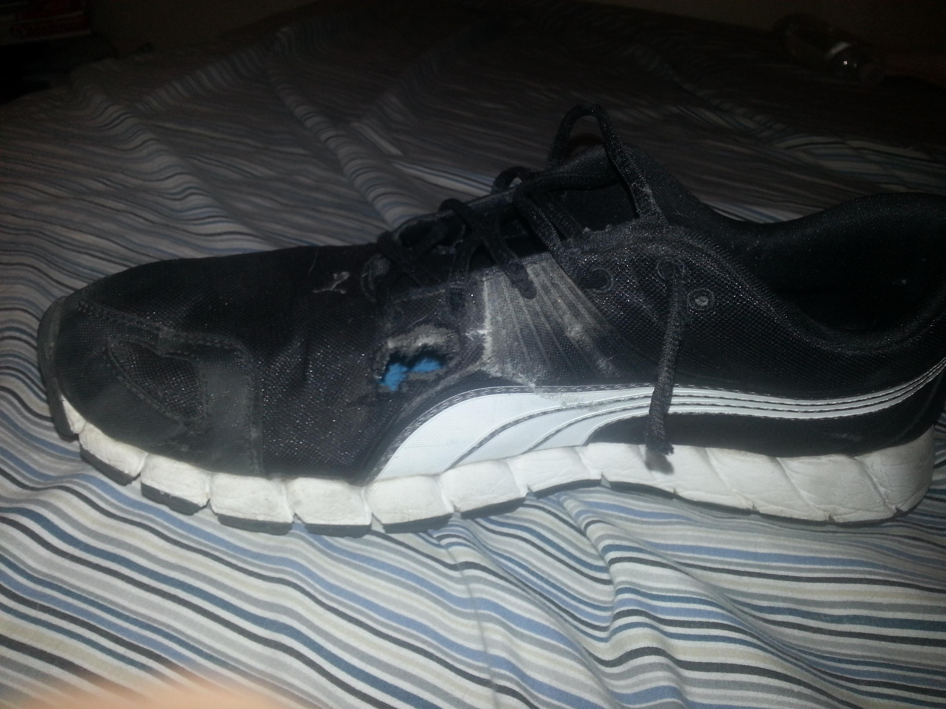 Can anyone identify this shoe? | Scrolller