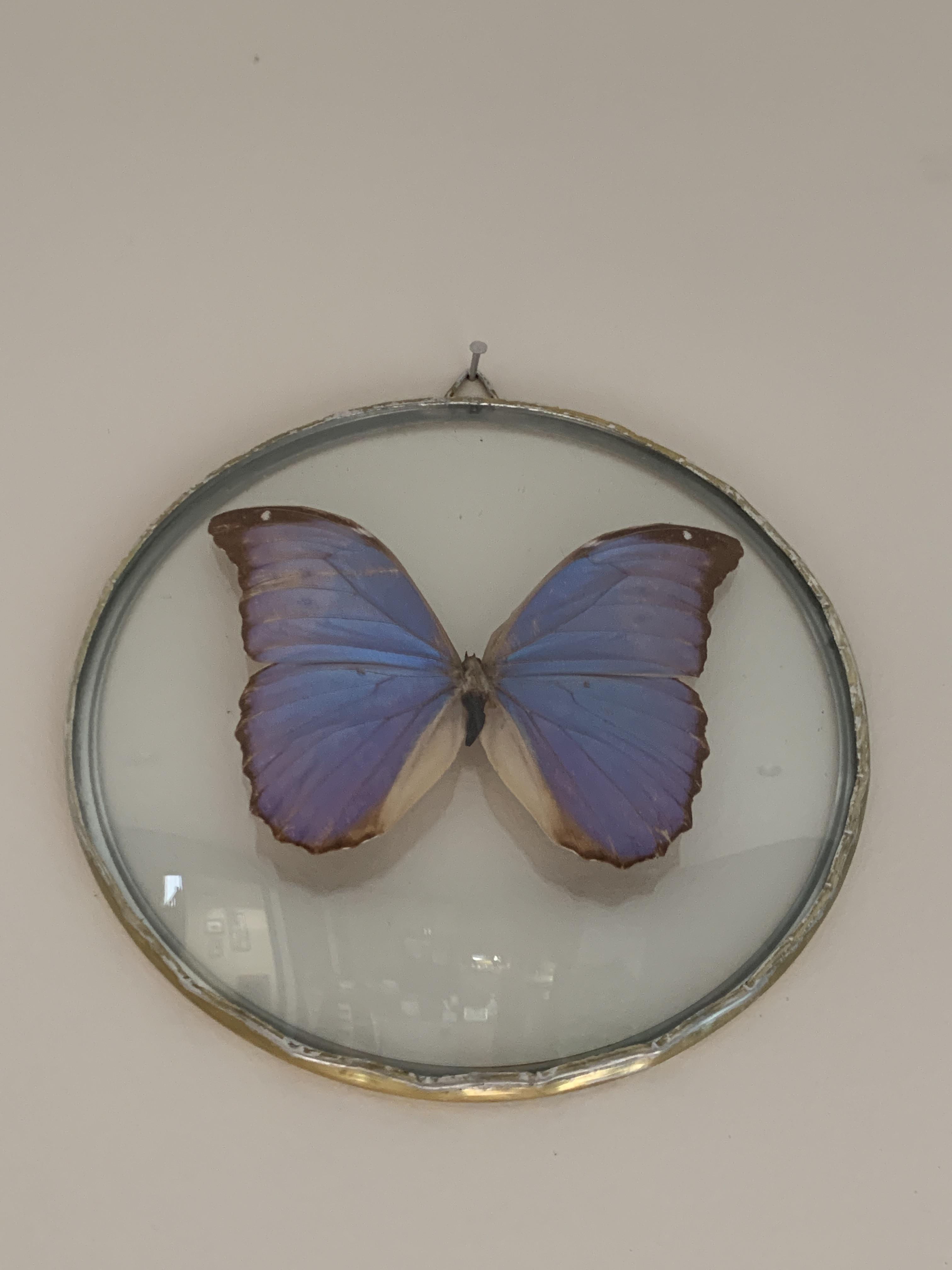 Can someone help identify this? | Scrolller