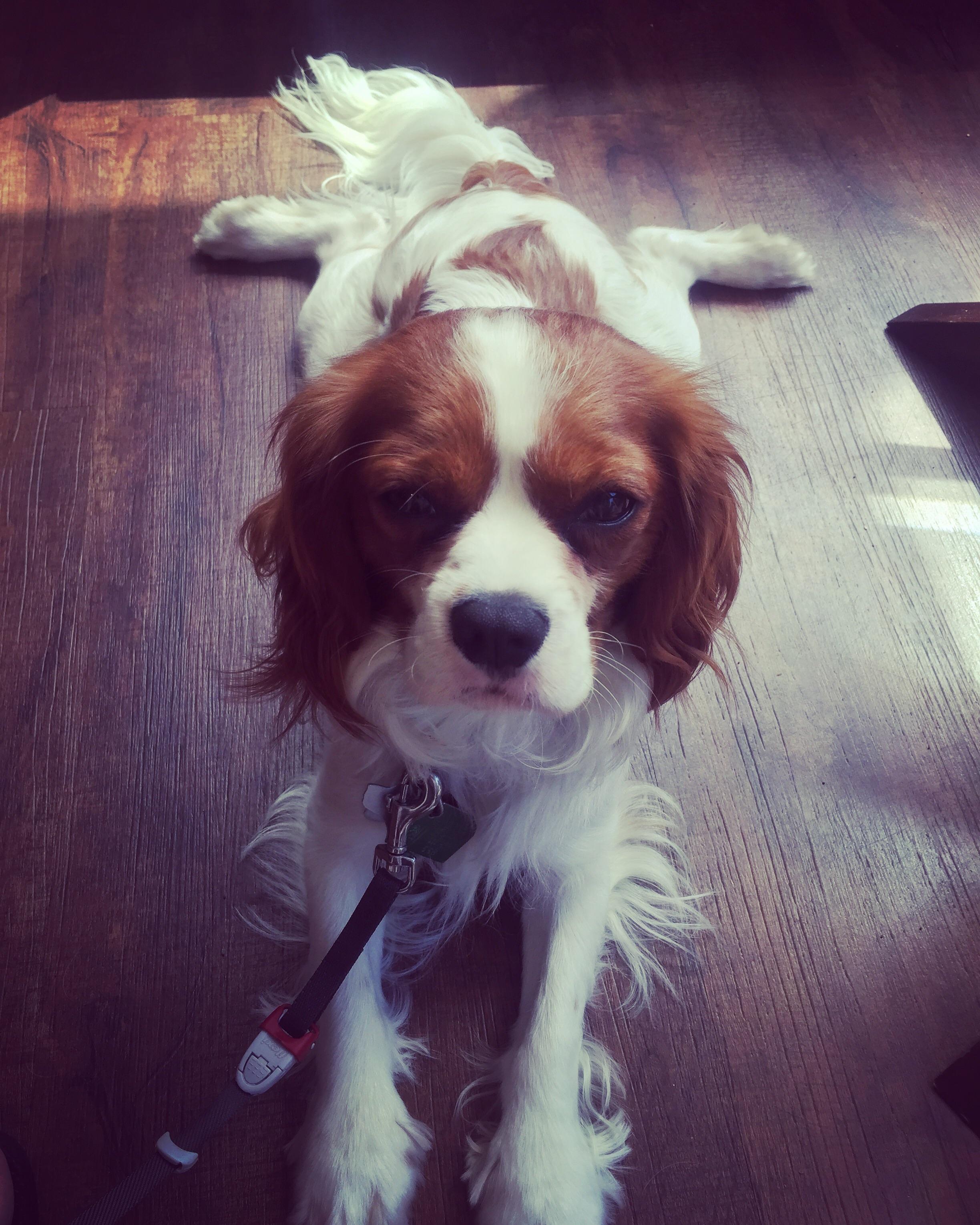 Can we just | Scrolller