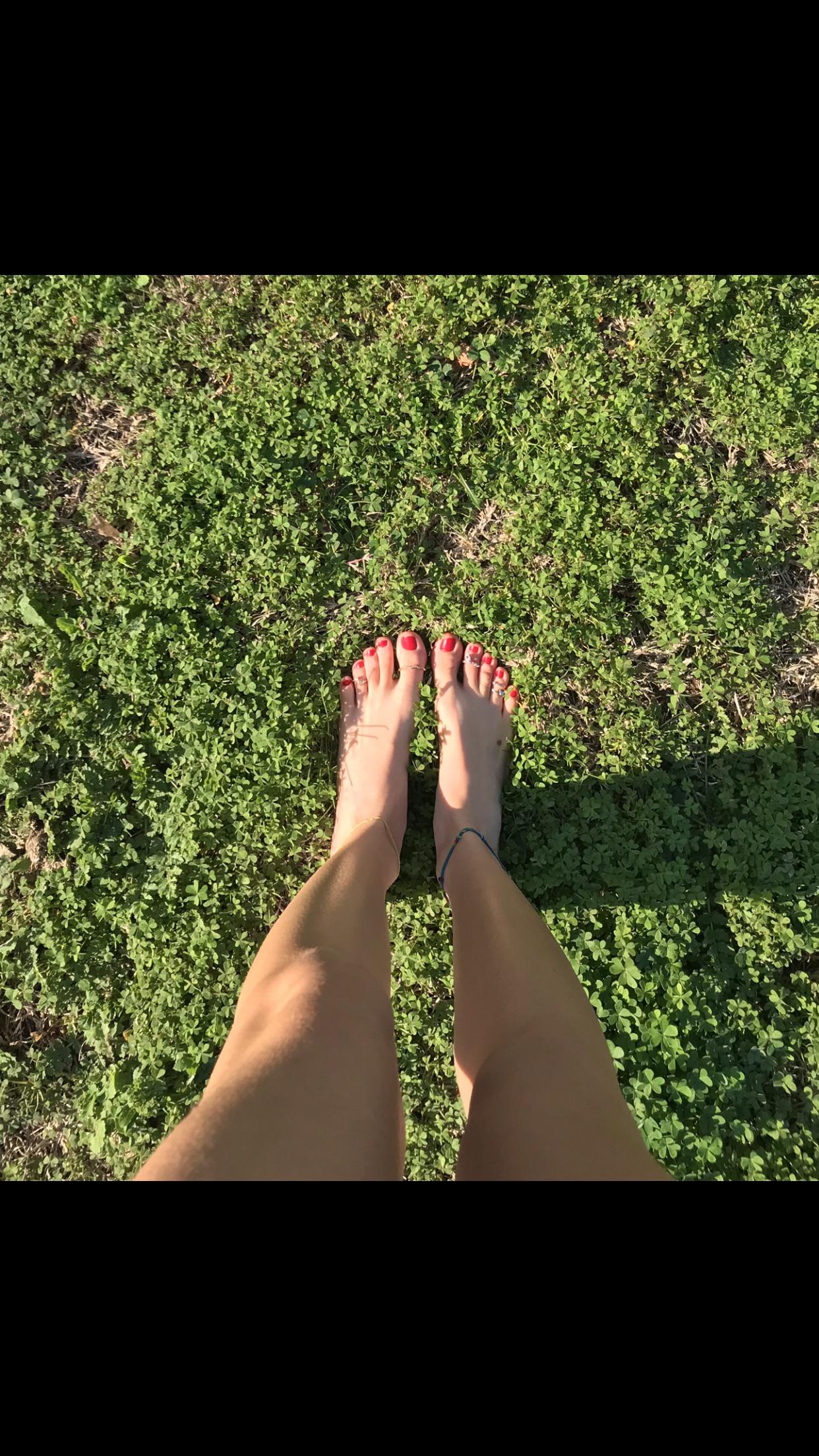 💚Can you find the 4 leaf clover in this pic? 💚 | Scrolller