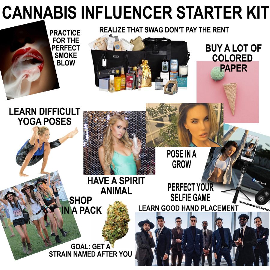 Cannabis Influencer AKA Paid Spokesperson Starter Kit | Scrolller