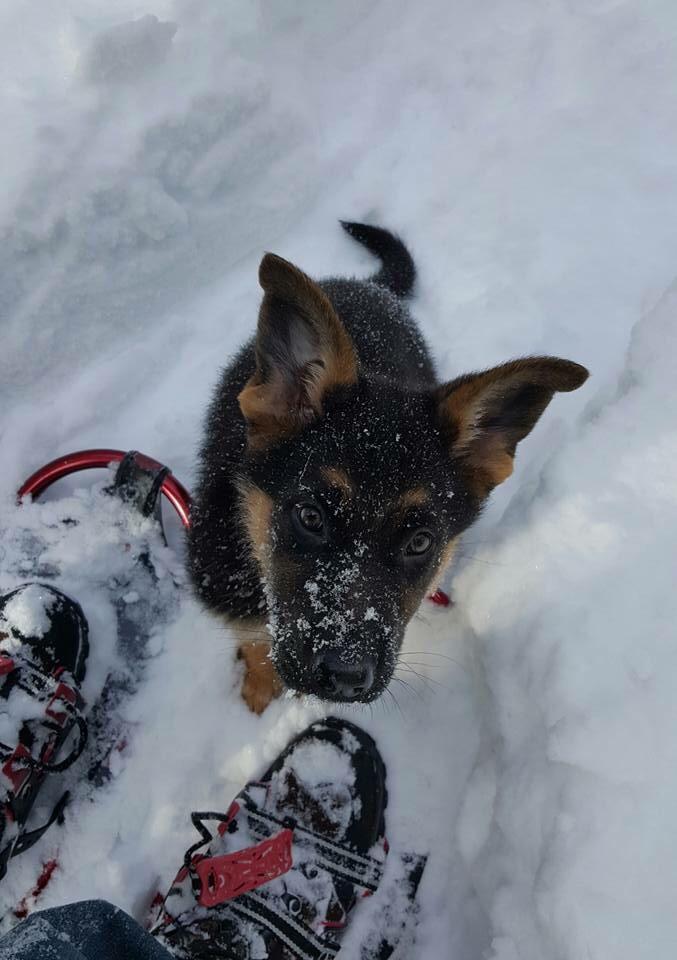 Can't you just carry me? | Scrolller