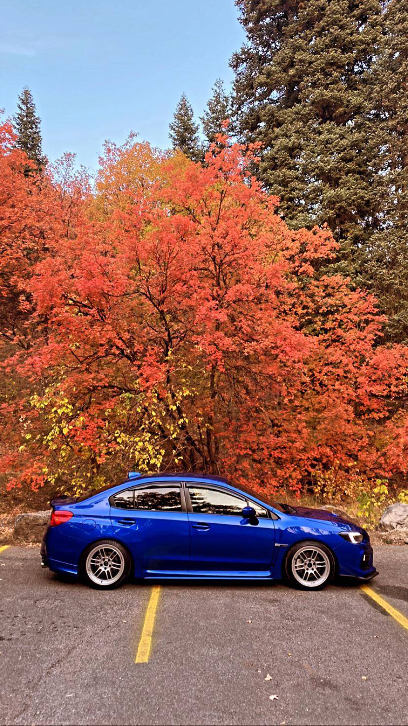 Canyon runs and fall colors🍂 | Scrolller