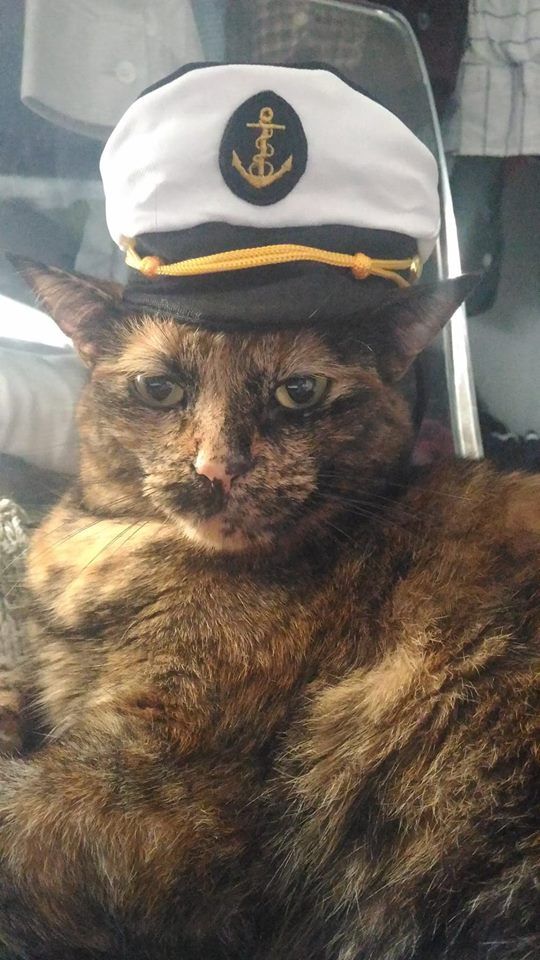 Captain Irene | Scrolller