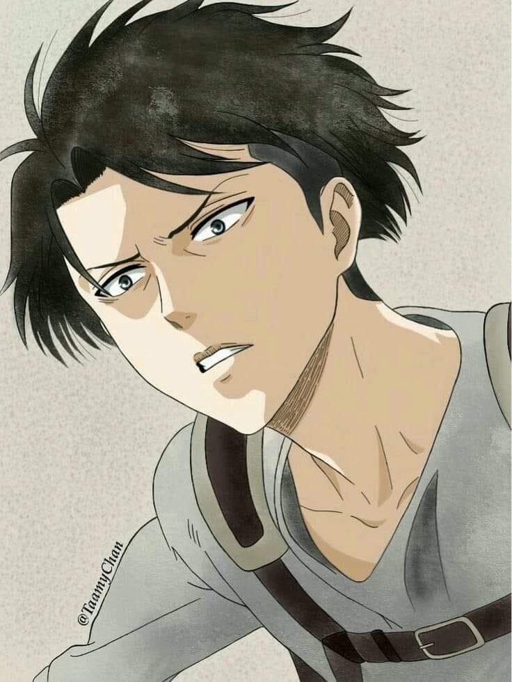 Captain Levi, Attack on Titan | Scrolller