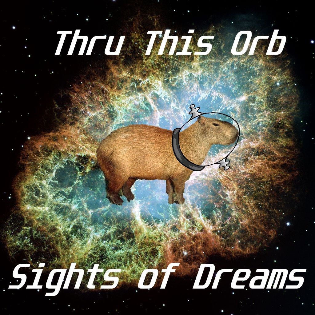 Capybaras in Space Pt. 2 | Scrolller