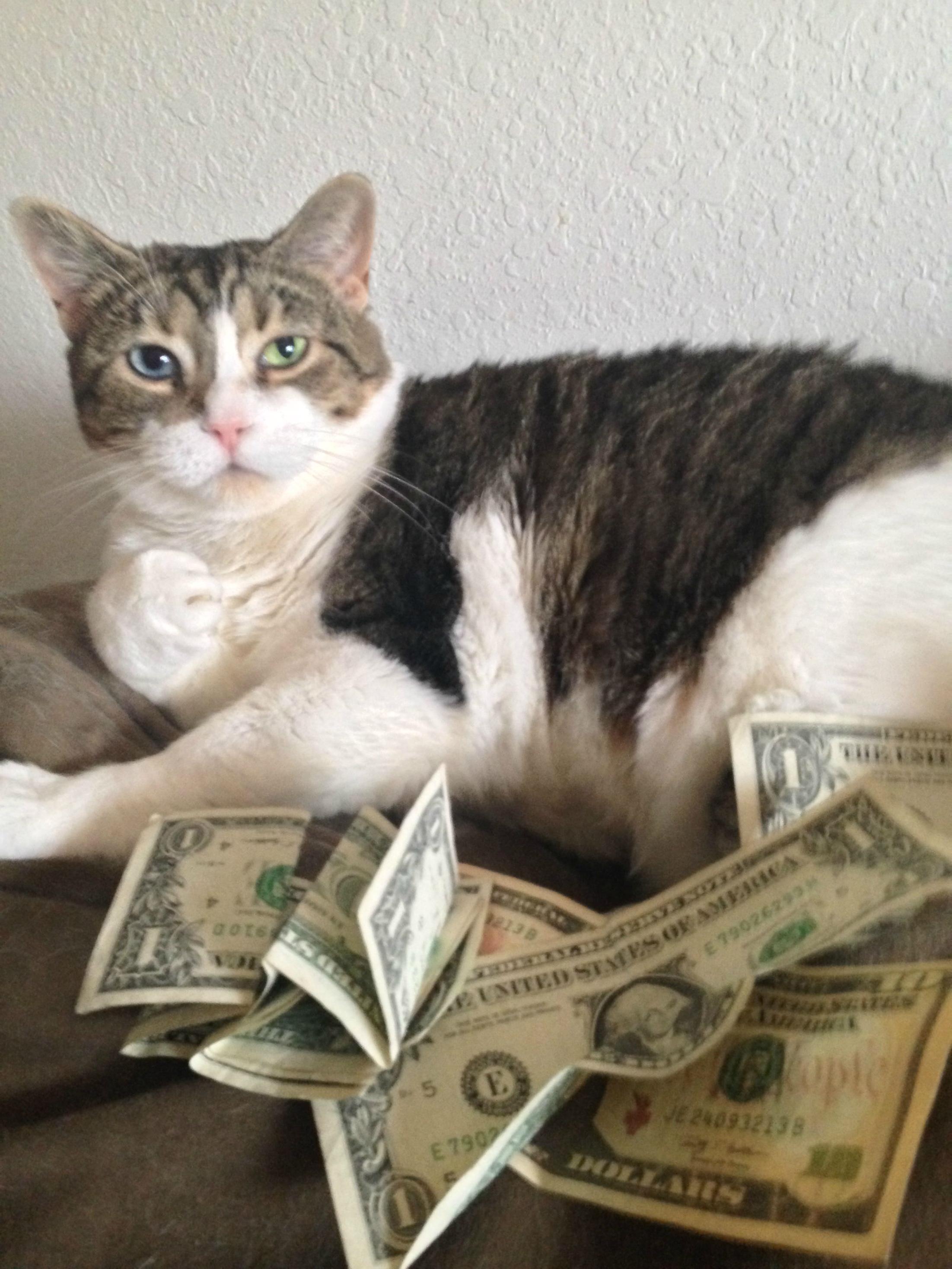 Cash Rules Everything Around Mimi | Scrolller Cash Rules Everything Around Mimi | Scrolller