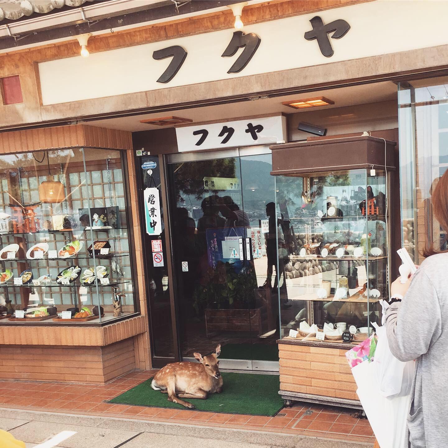 Casual deer relaxing at a storefront on Miyajima | Scrolller