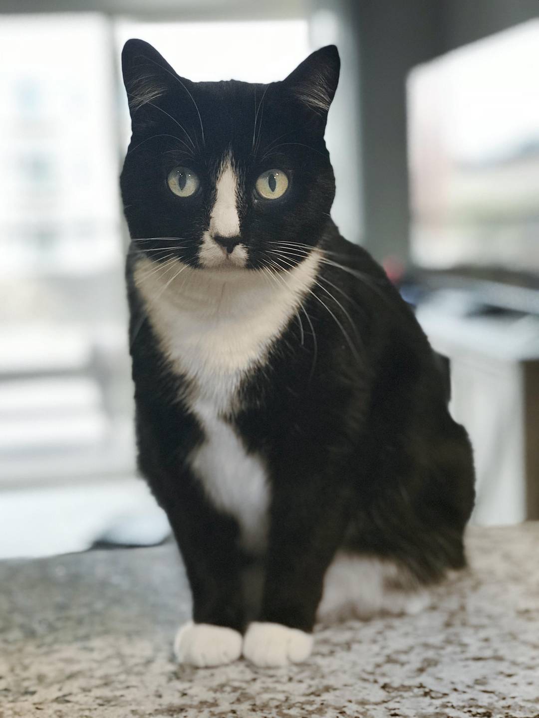 Casually modeling her tux | Scrolller