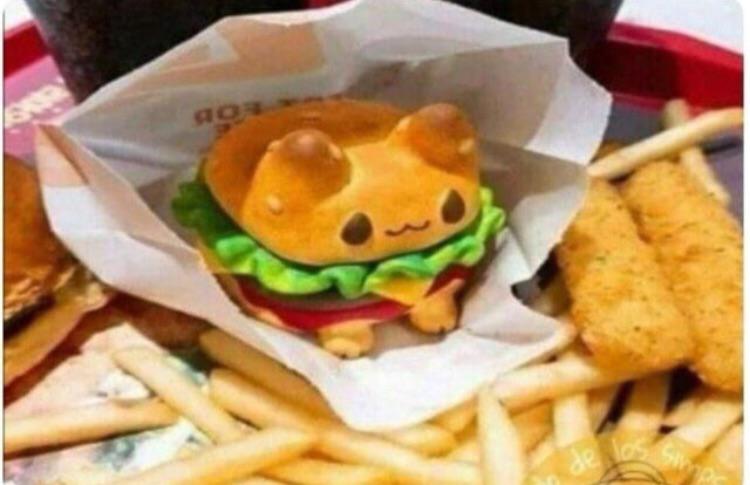 Cat burger rule | Scrolller