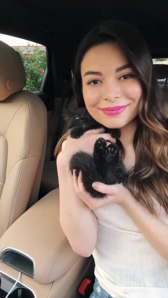 Cat love | Scrolller