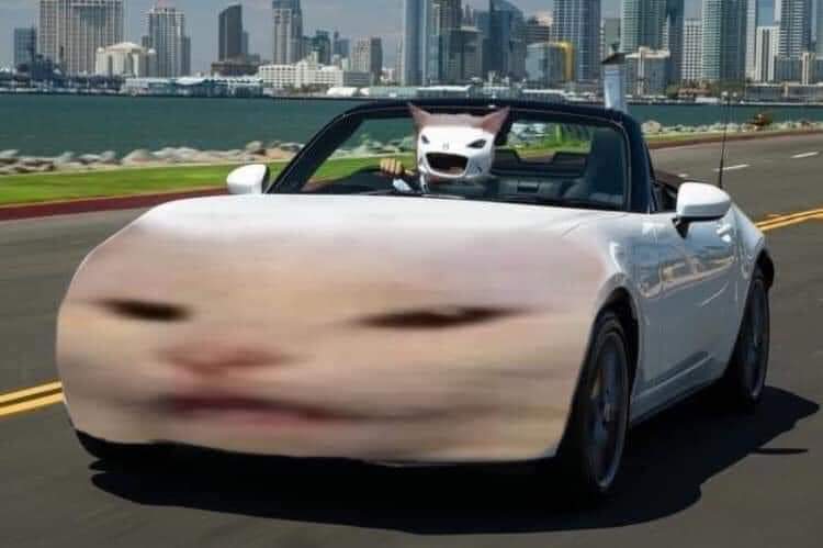 Cat miata and miata cat | Scrolller