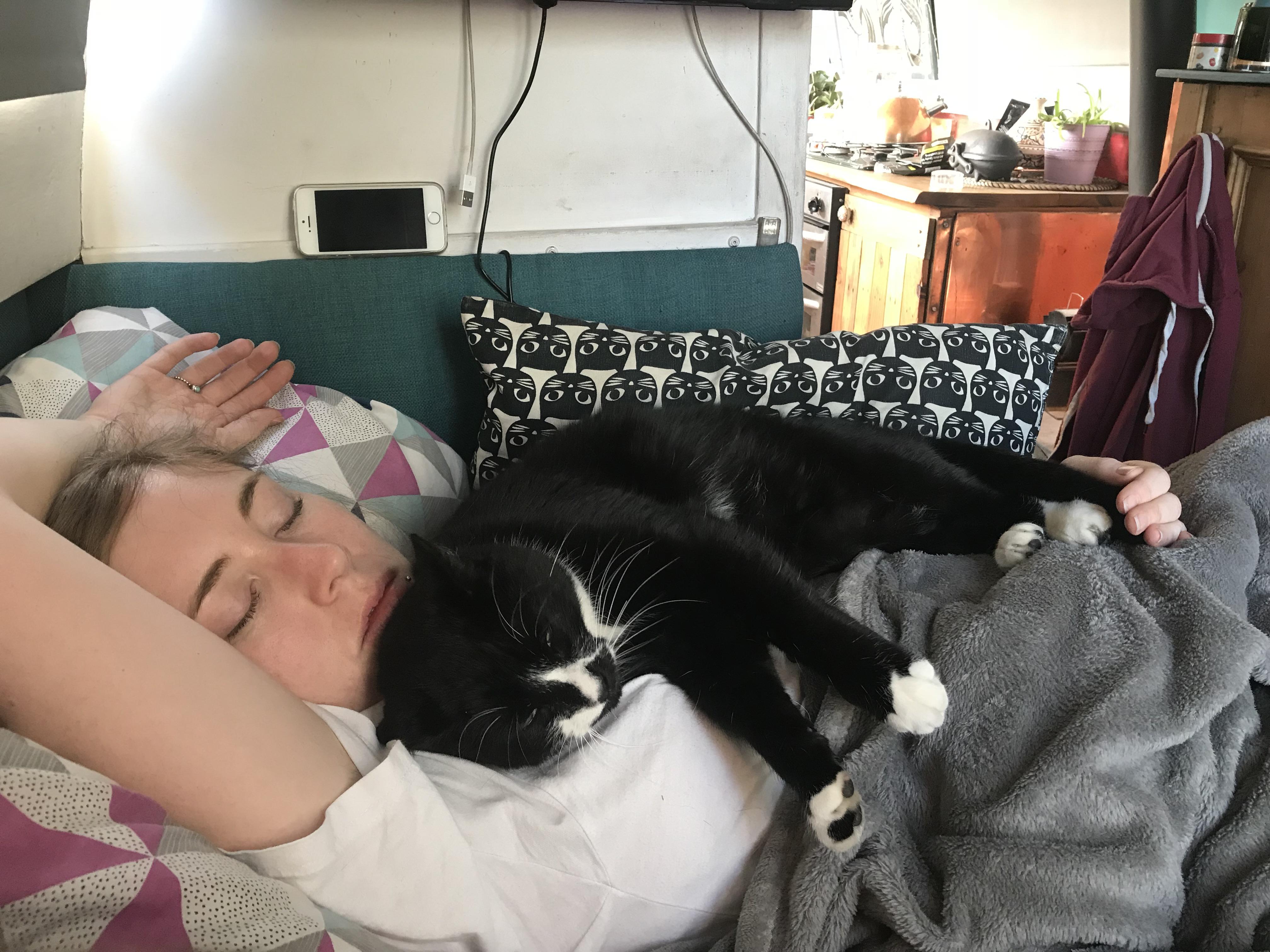 Cat naps with Rufus | Scrolller