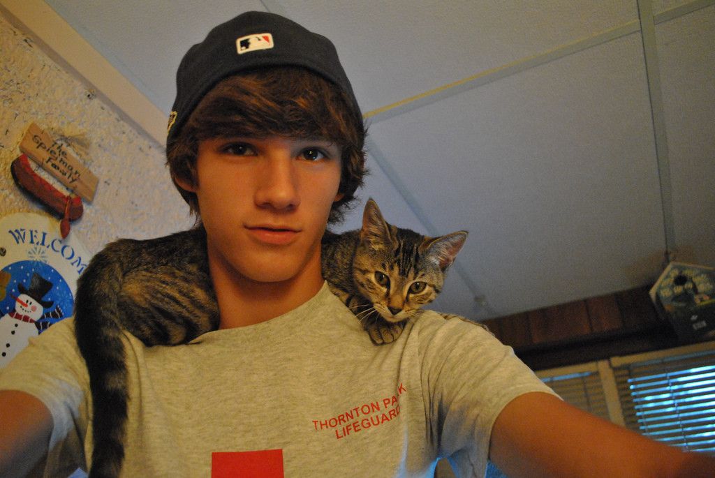 Cat Picture | Scrolller