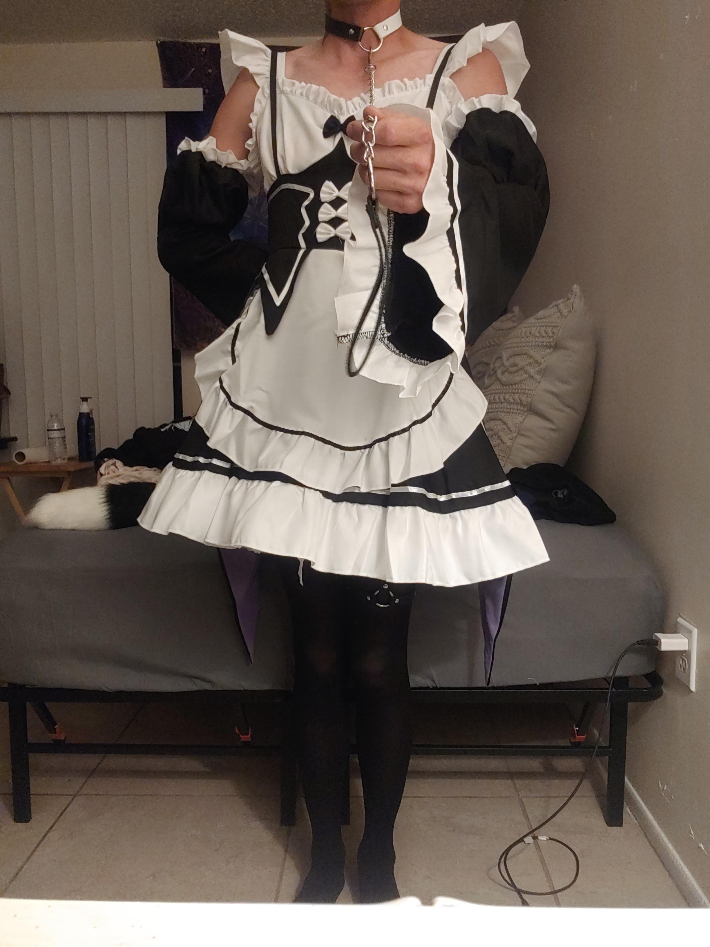 Catboy at your service 😸 | Scrolller