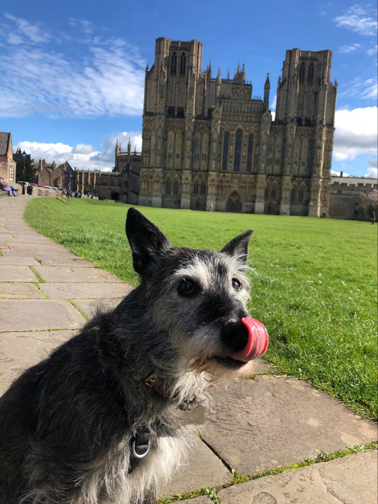 Cathedral Mlem | Scrolller