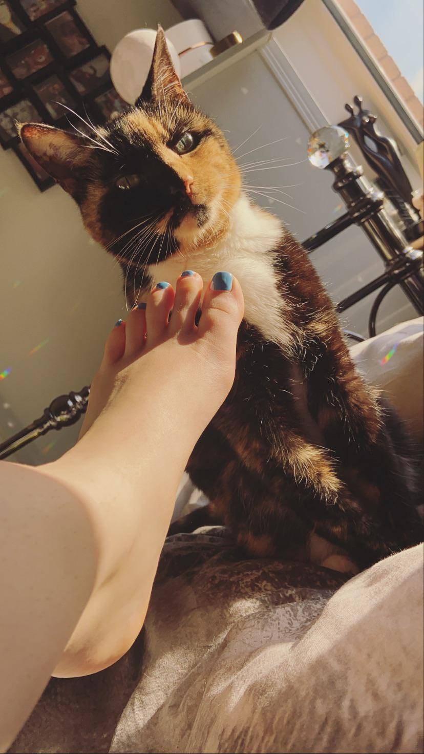 Cats n feet | Scrolller