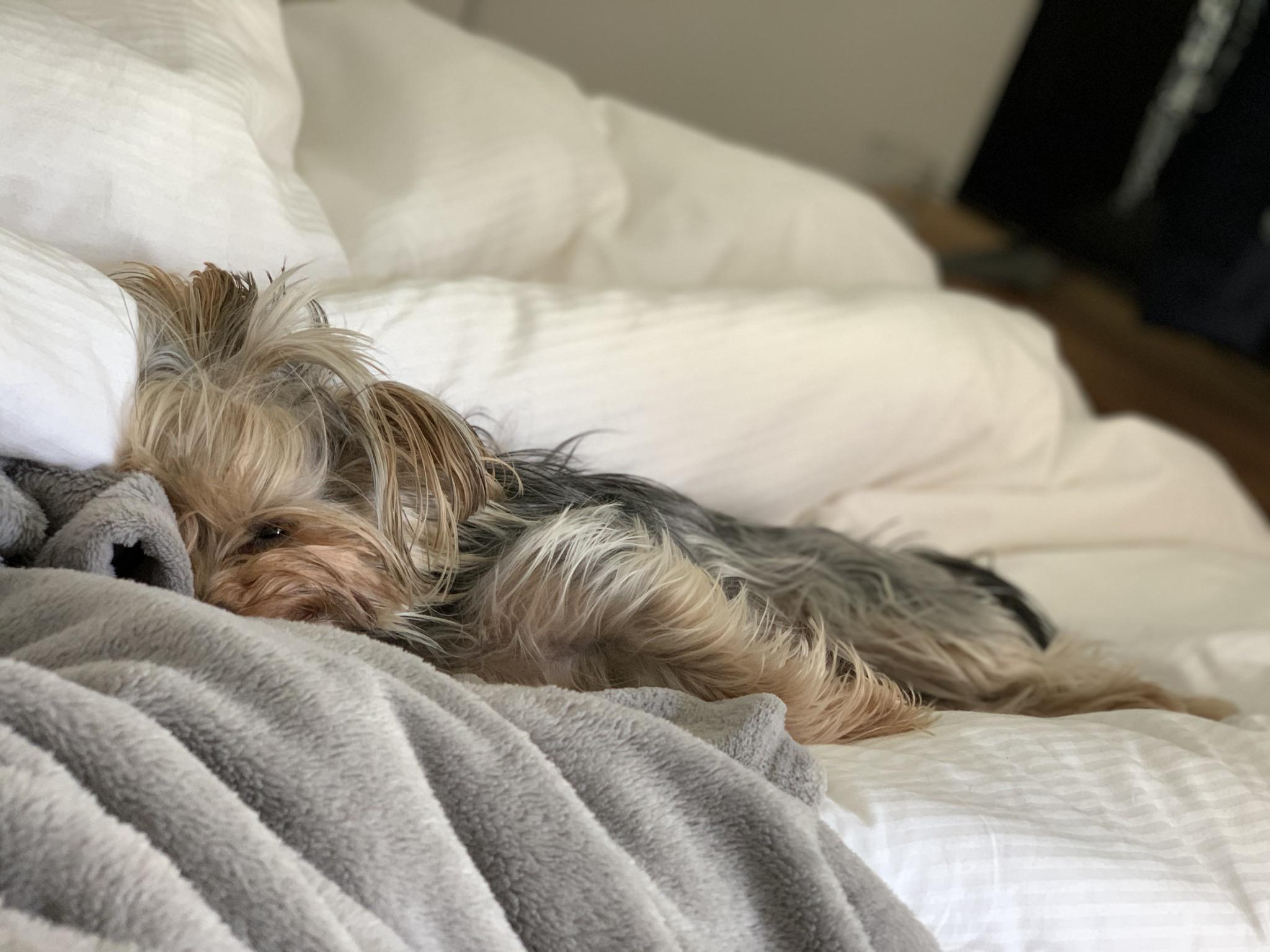 Caught her looking | Scrolller