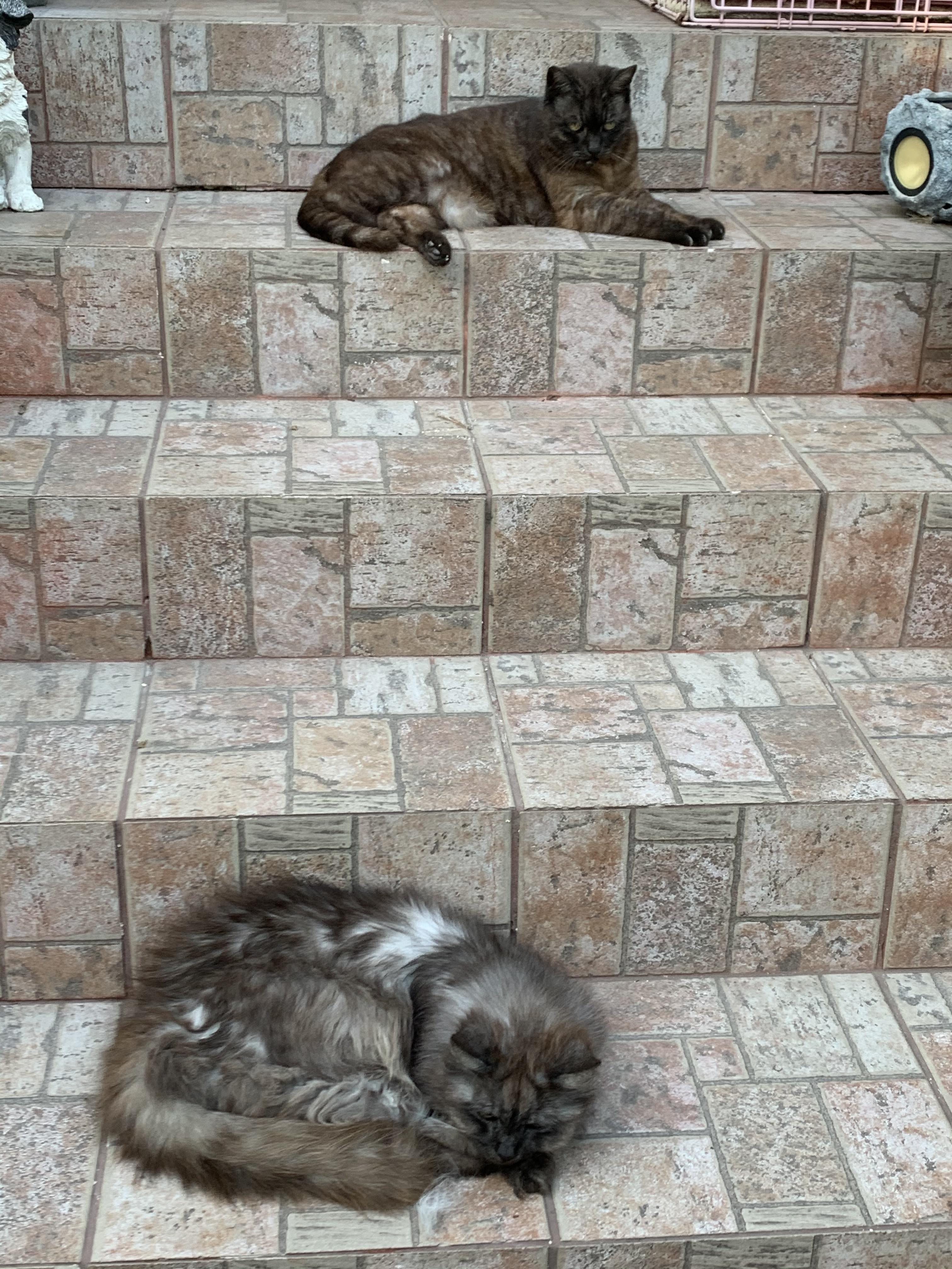 Caught my old ladies napping . | Scrolller