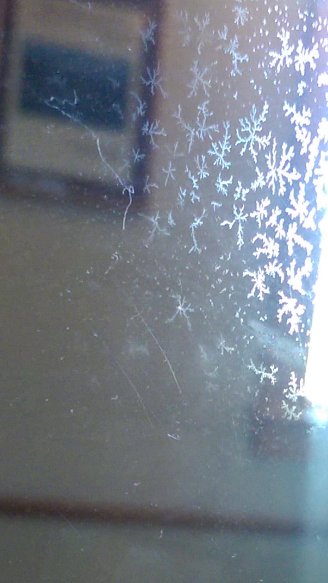 Caught some naturally forming fractals at work today | Scrolller