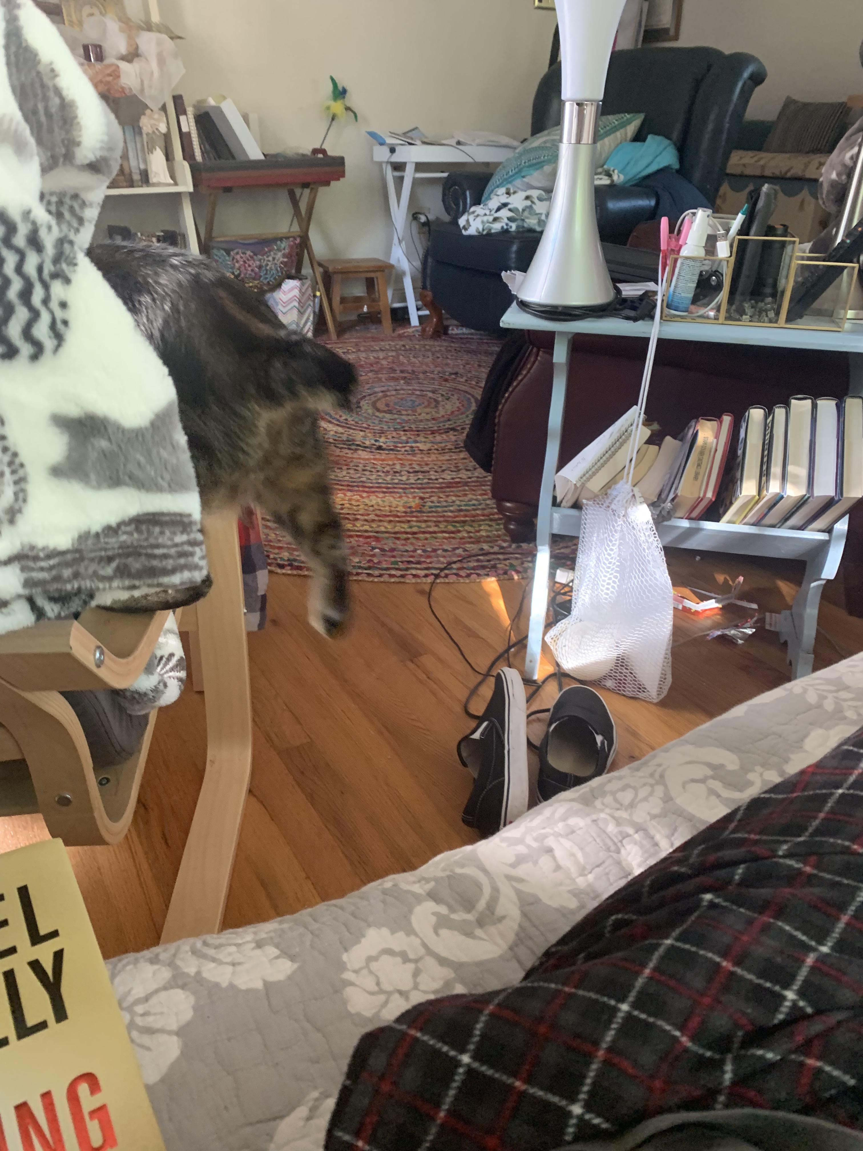 Caught the killer stump in action. | Scrolller