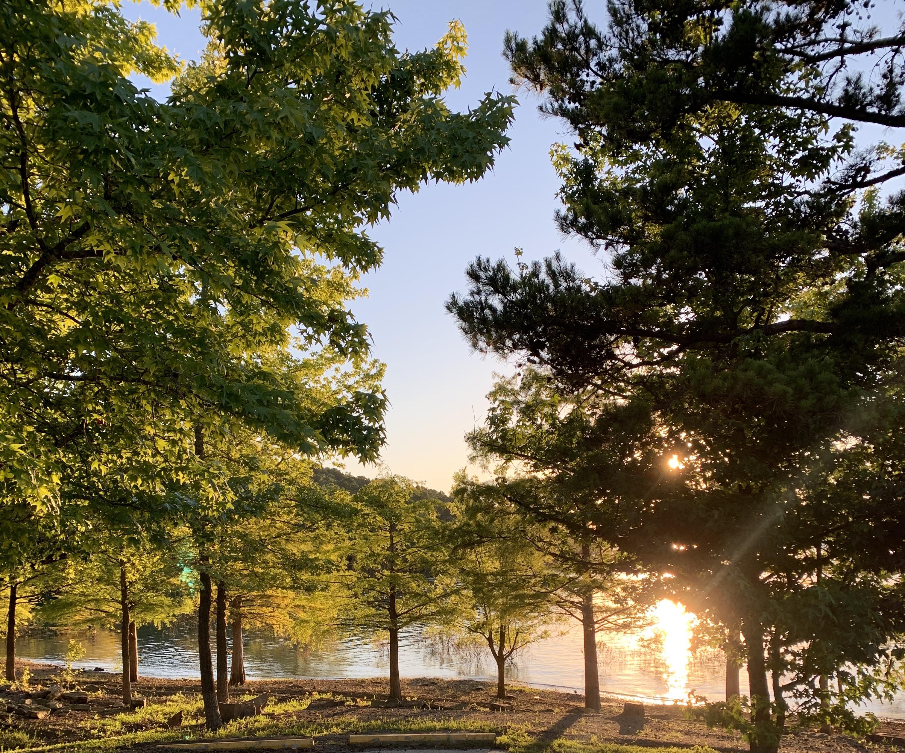 Caught this while camping | Scrolller