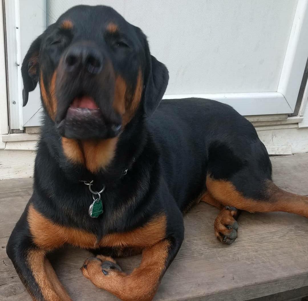 Caught Valerie mid sneeze, how embarrassing! | Scrolller