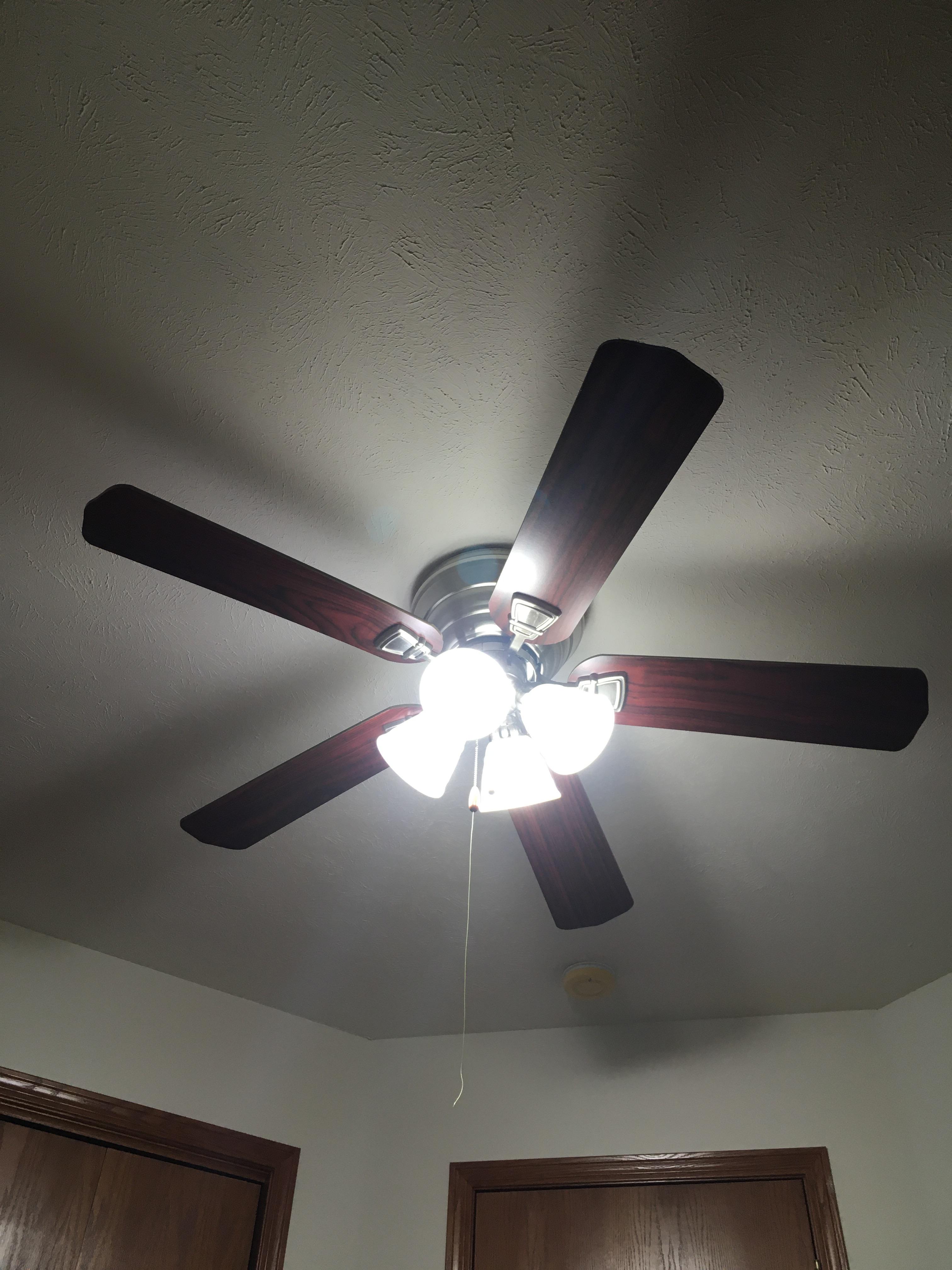 CeIling PHAN | Scrolller