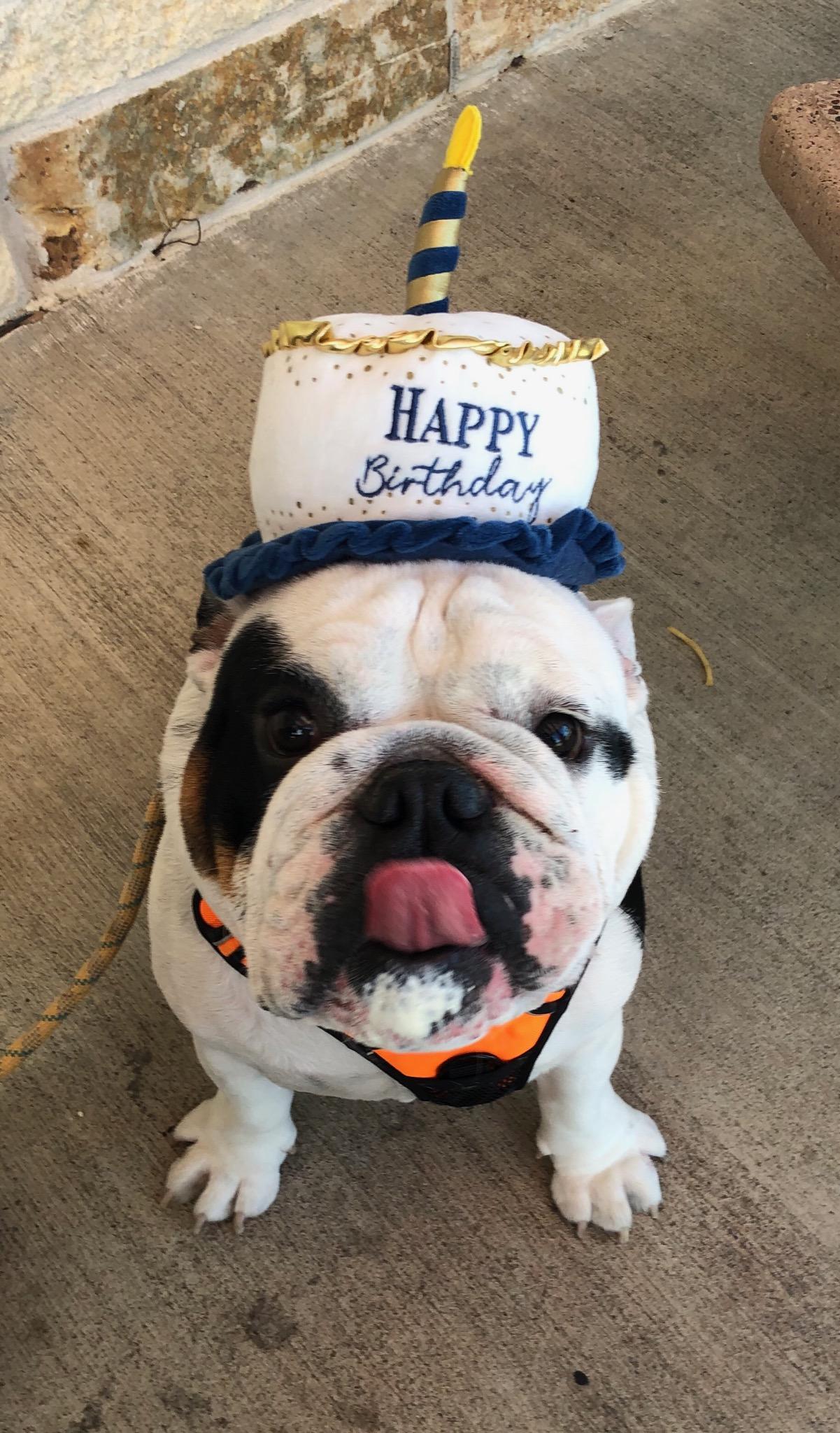 Celebrating 2nd Birthday with a Freddy's pup cup | Scrolller