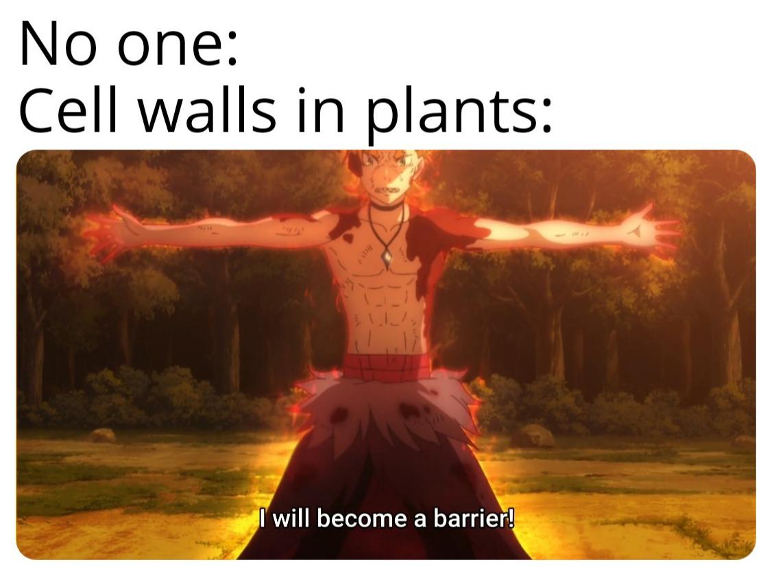 Cell walls go brrrrrr | Scrolller