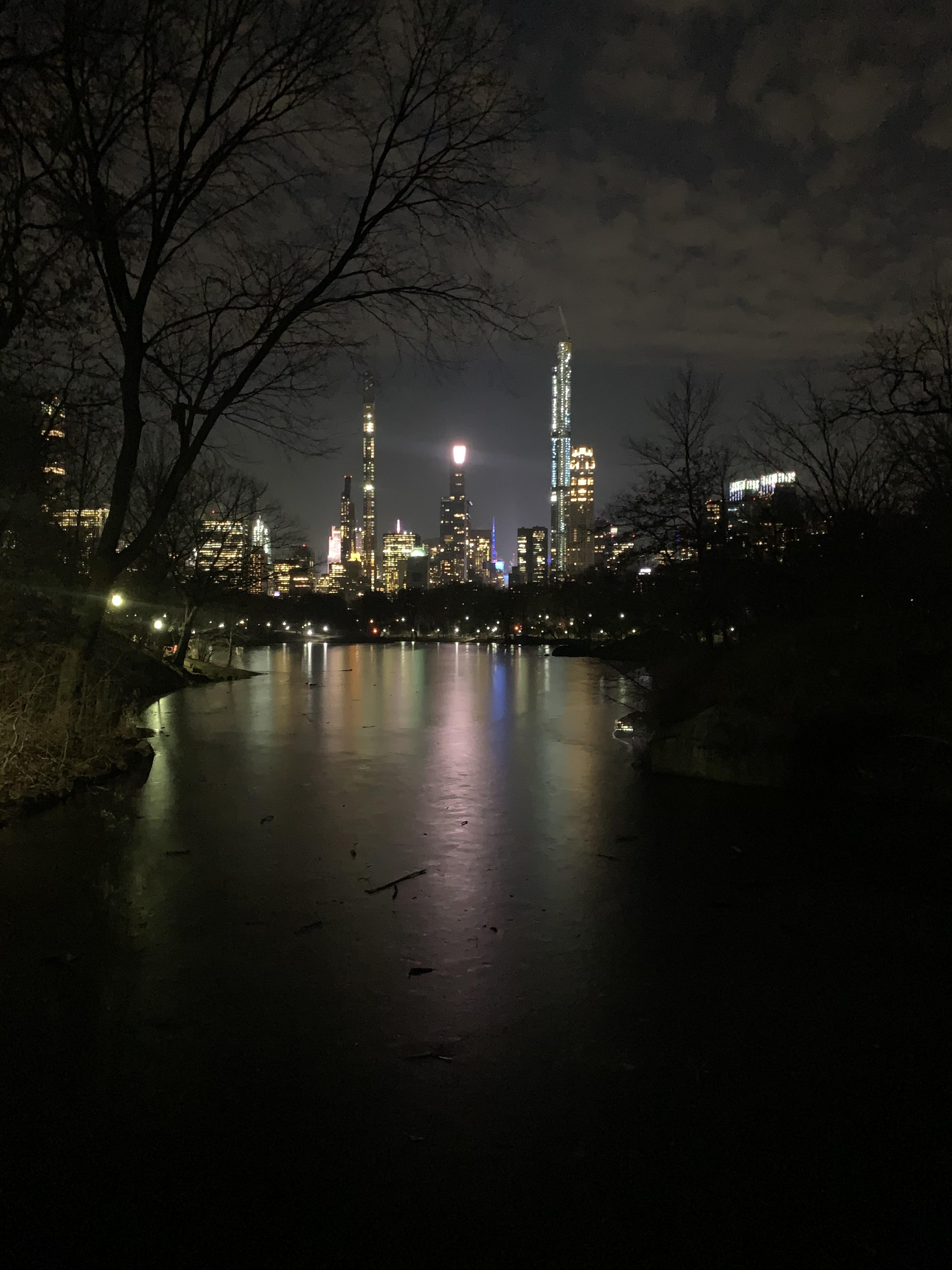 Central Park last winter | Scrolller