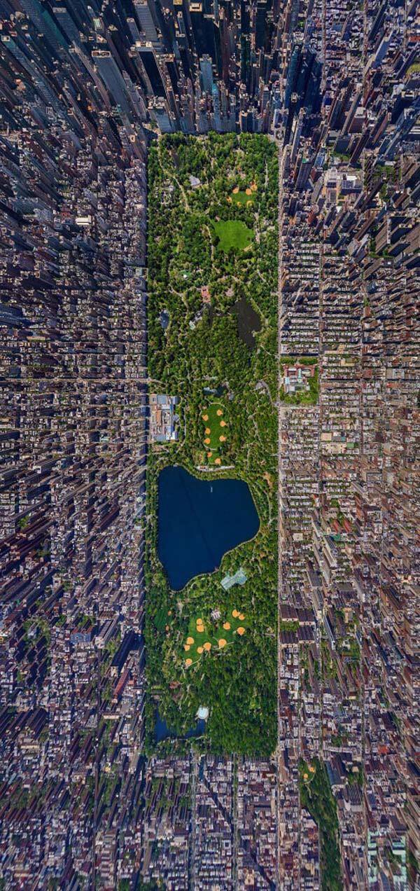 Central Park , New York City [600x1272] | Scrolller
