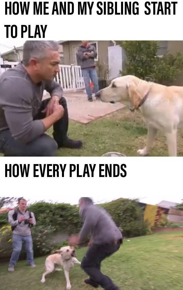 How it always ends | Scrolller