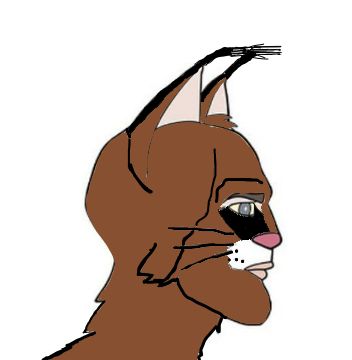 Chad Floppa. | Scrolller