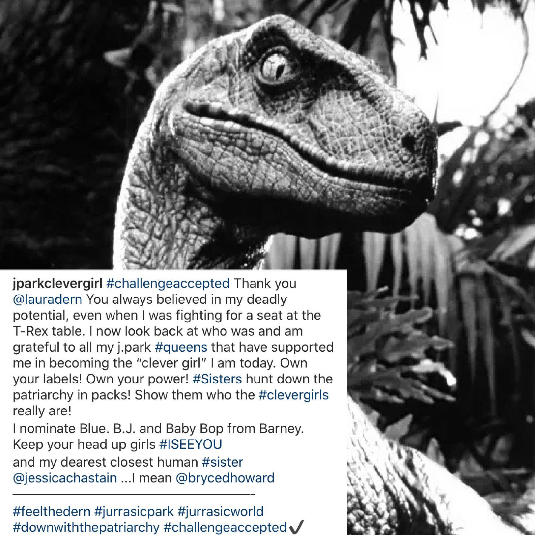 Challenge Accepted | Scrolller