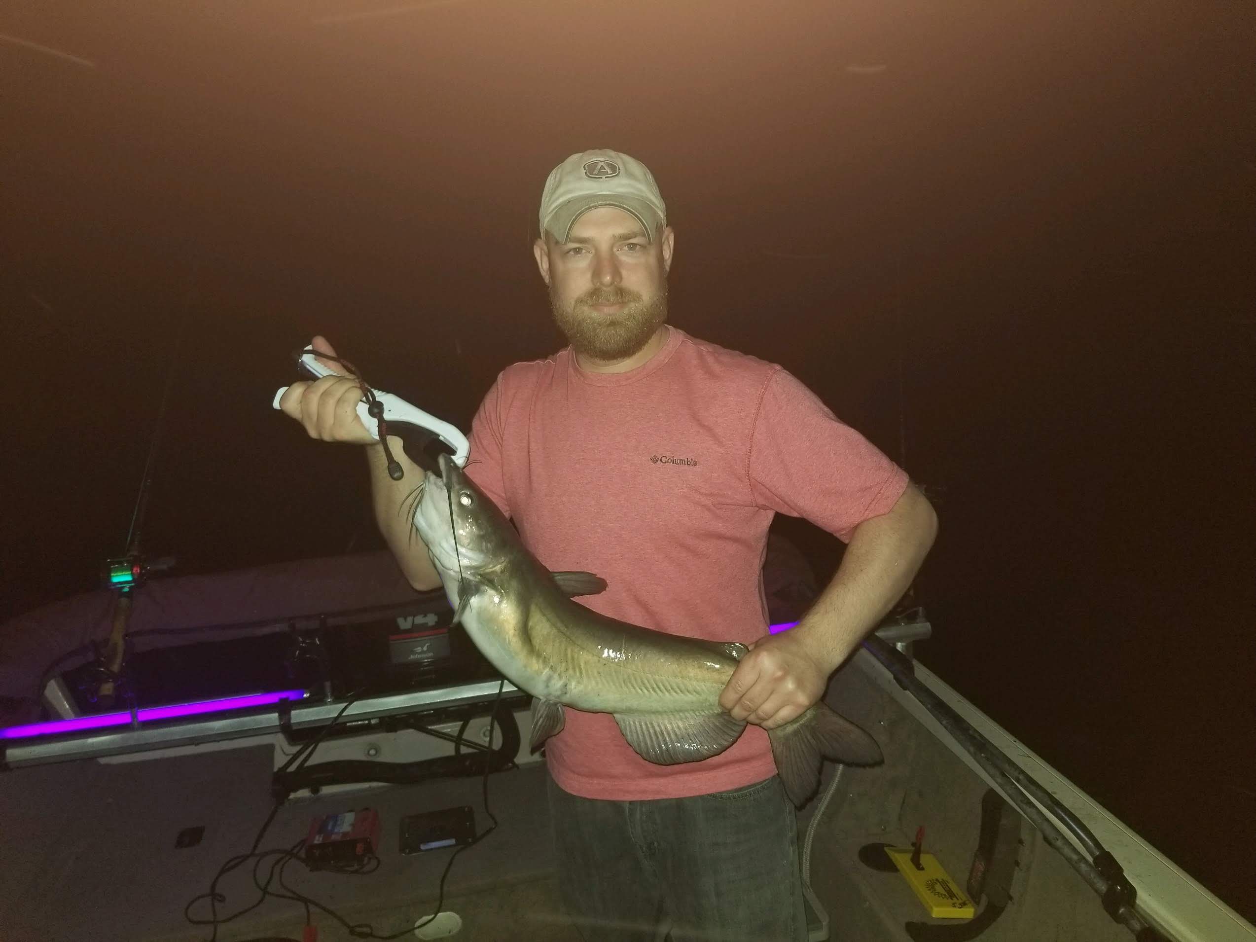 Channel cat on cut shad. | Scrolller
