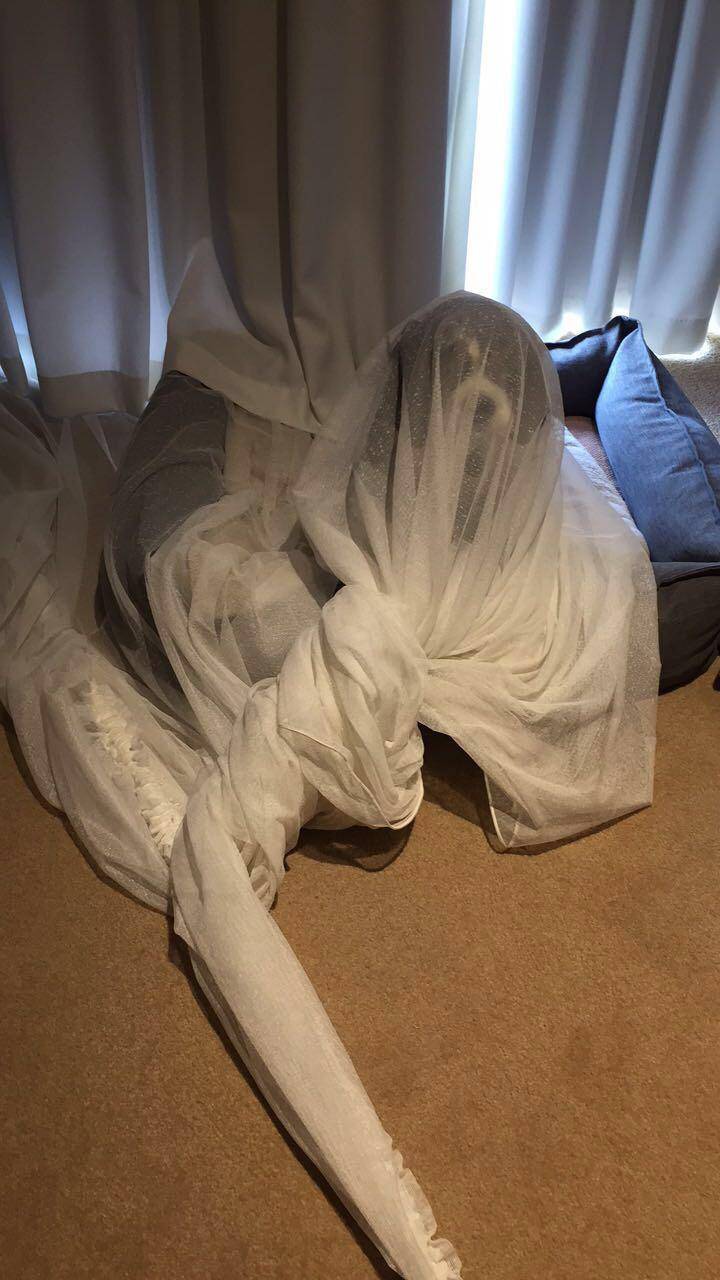 Charles is always winding himself into trouble | Scrolller