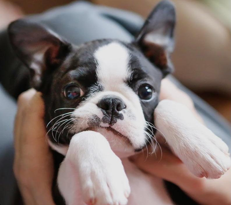 Check out this handsome gentleman! | Scrolller