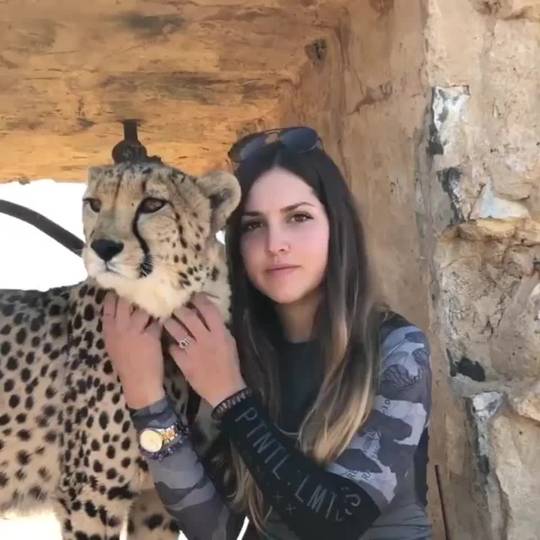 Cheetah girl | Scrolller