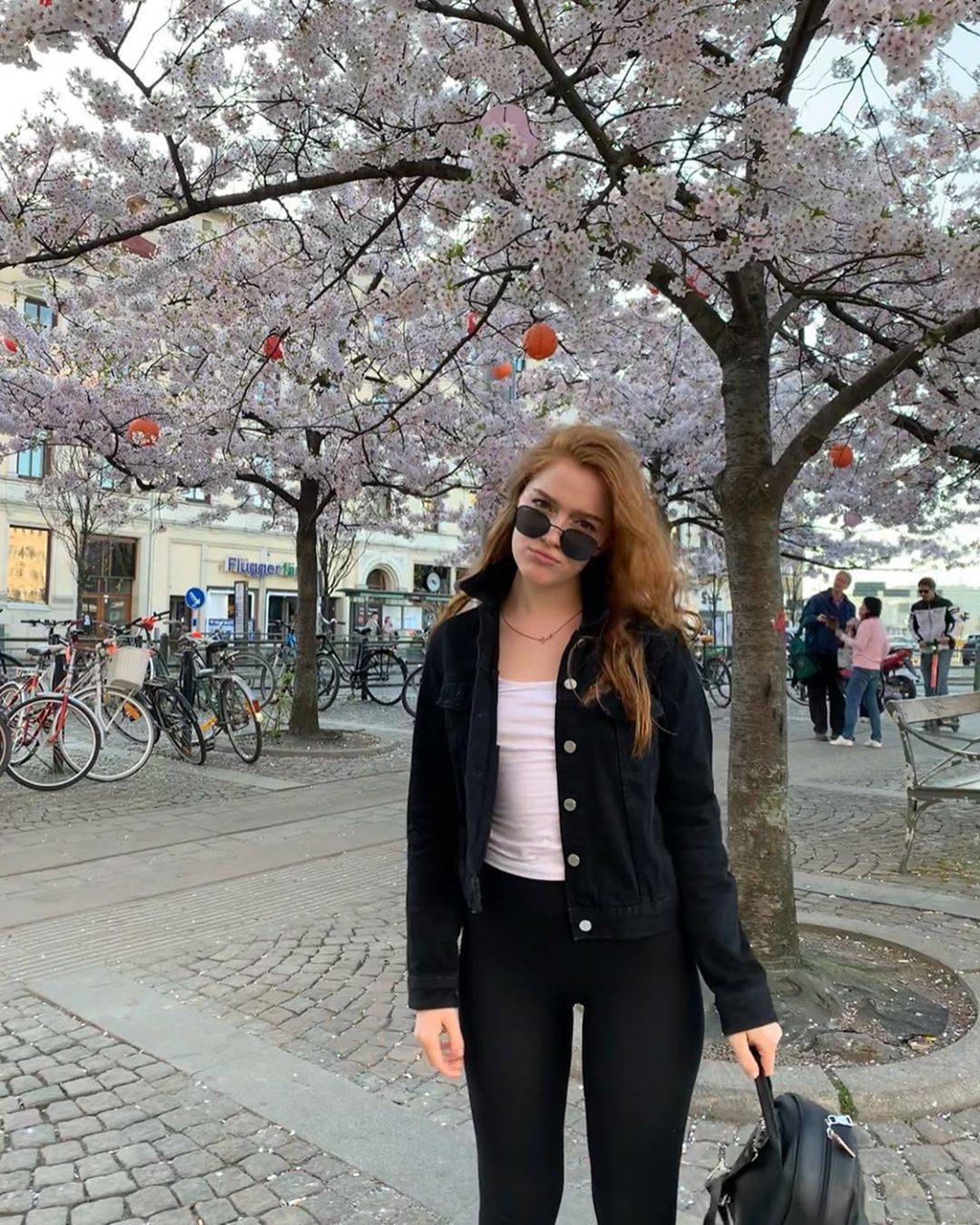 Cherry blossoms | Scrolller