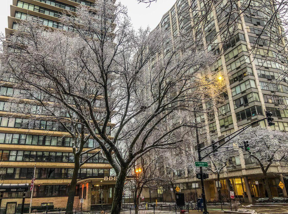 Chicago, Illinois | Scrolller