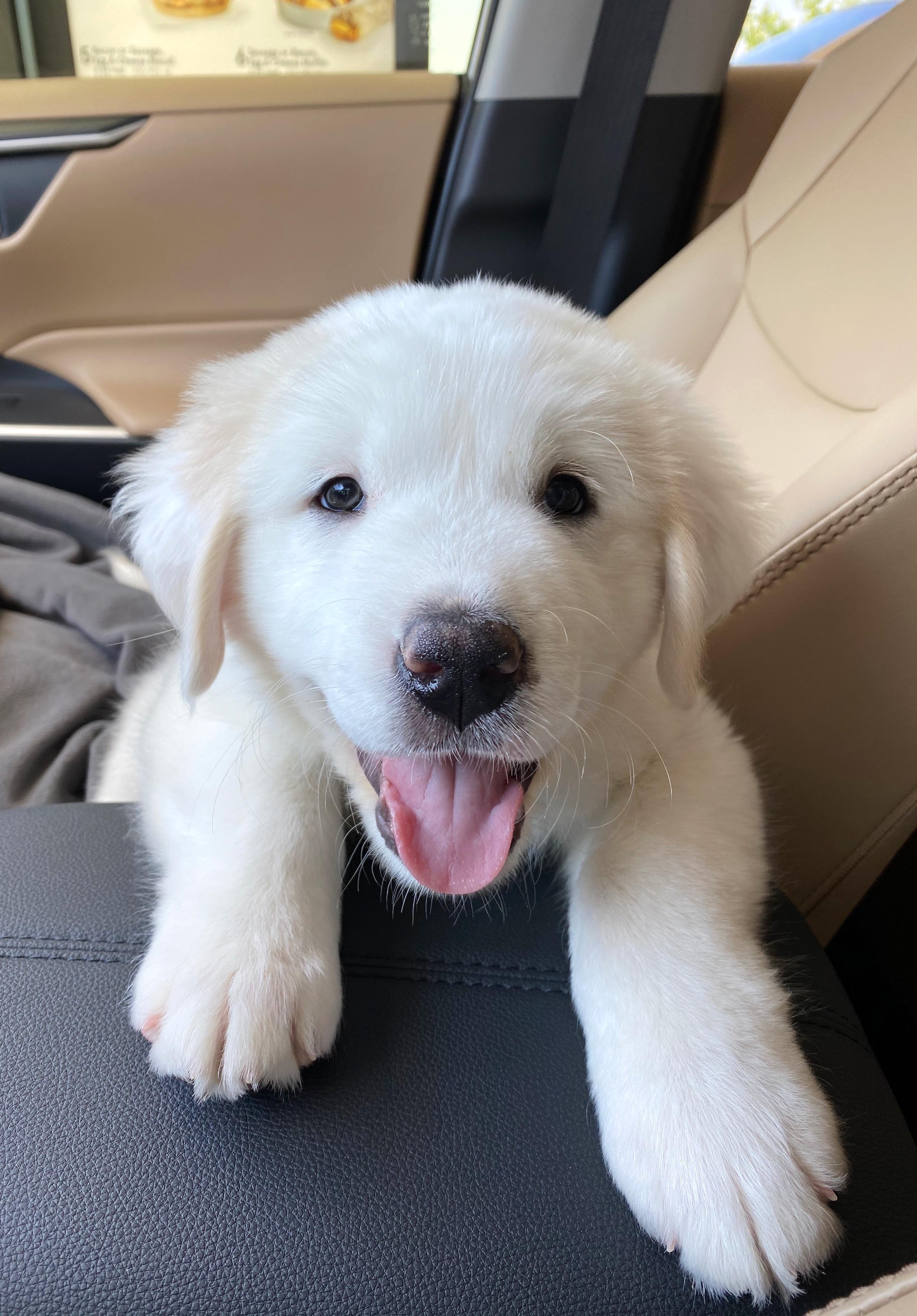 Chick-Fil-A drive-thru feelings 😛 | Scrolller